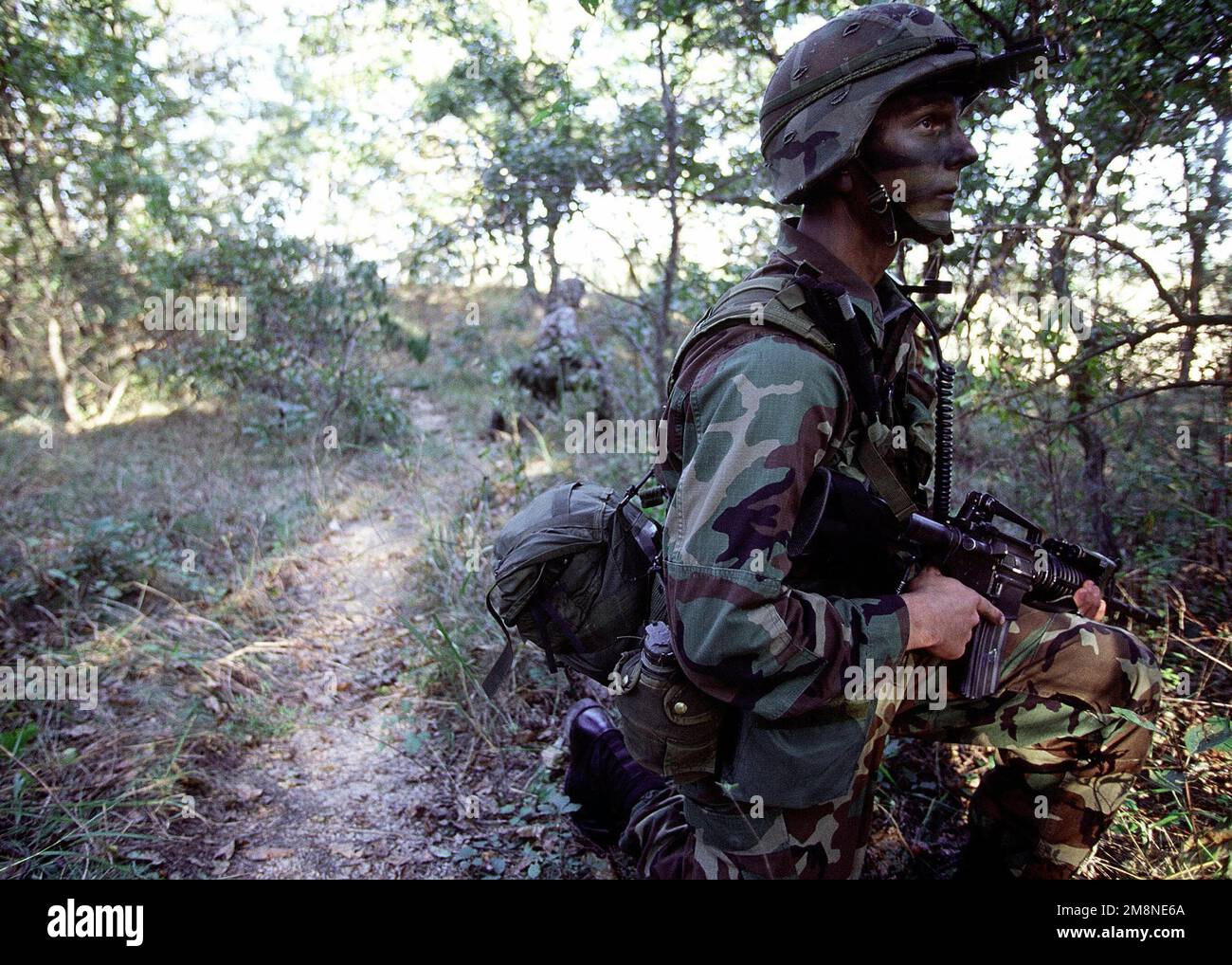 Members of the United Nations Command Security Battalion/Joint Security ...