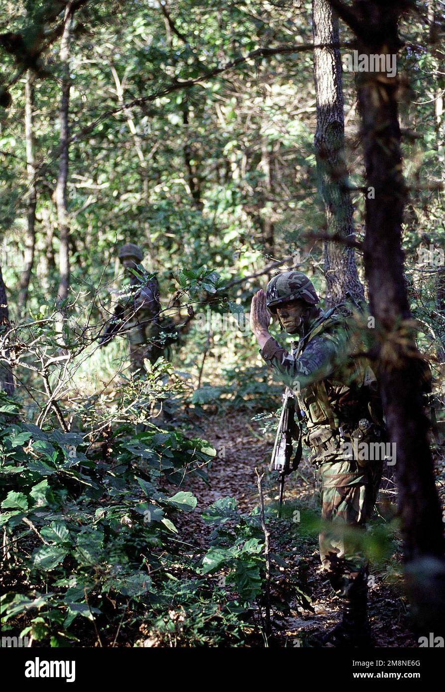 SSGT Meegan, United Nations Command Security Battalion/Joint Security ...