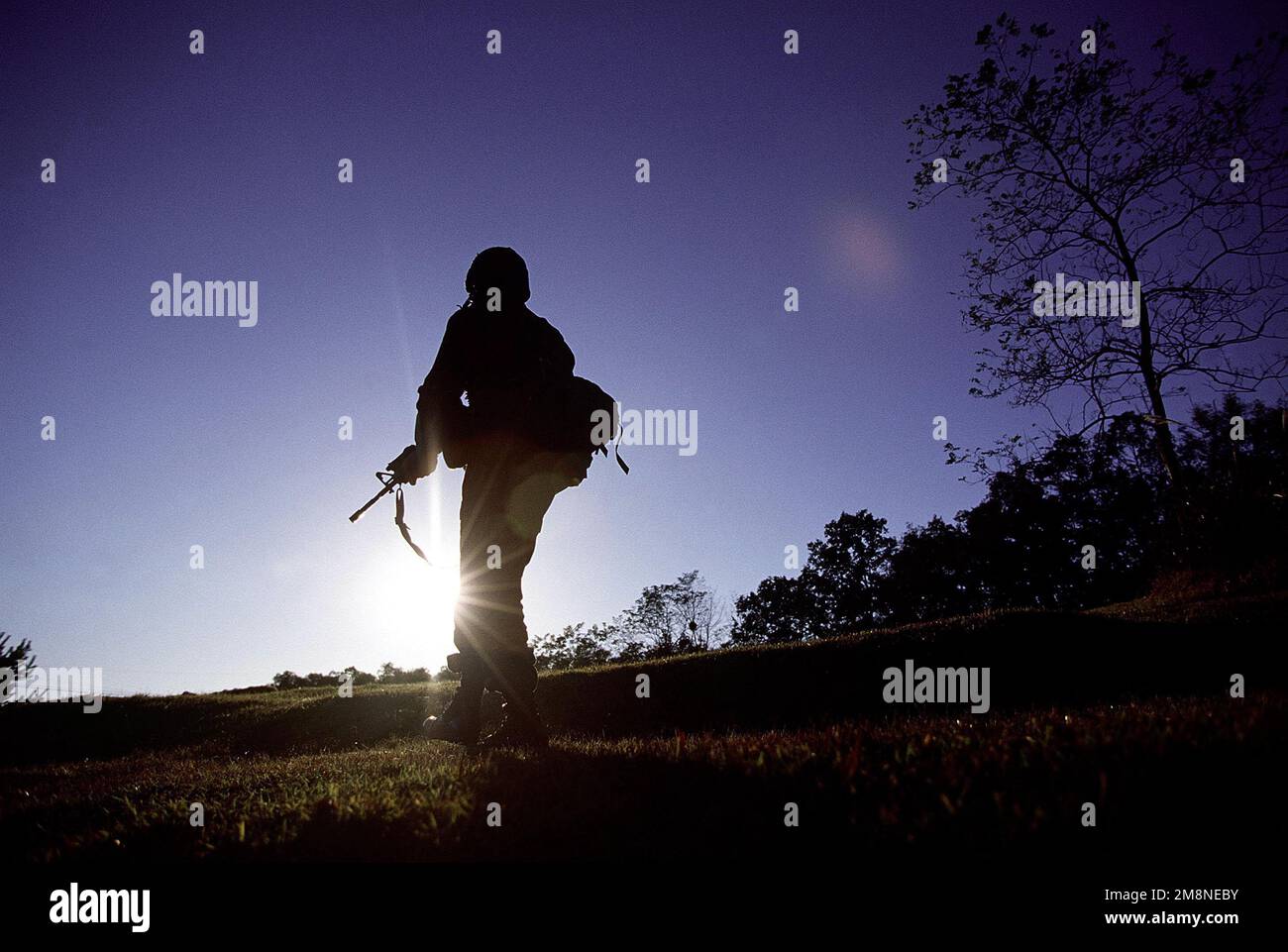 A member of the United Nations Command Security Battalion/Joint ...