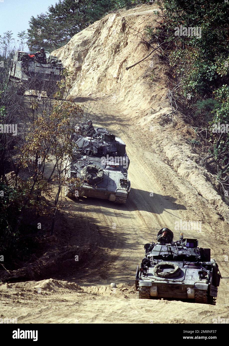 Several US Army M2/A2 Bradley Fighting vehicles, assigned to C Troop of ...