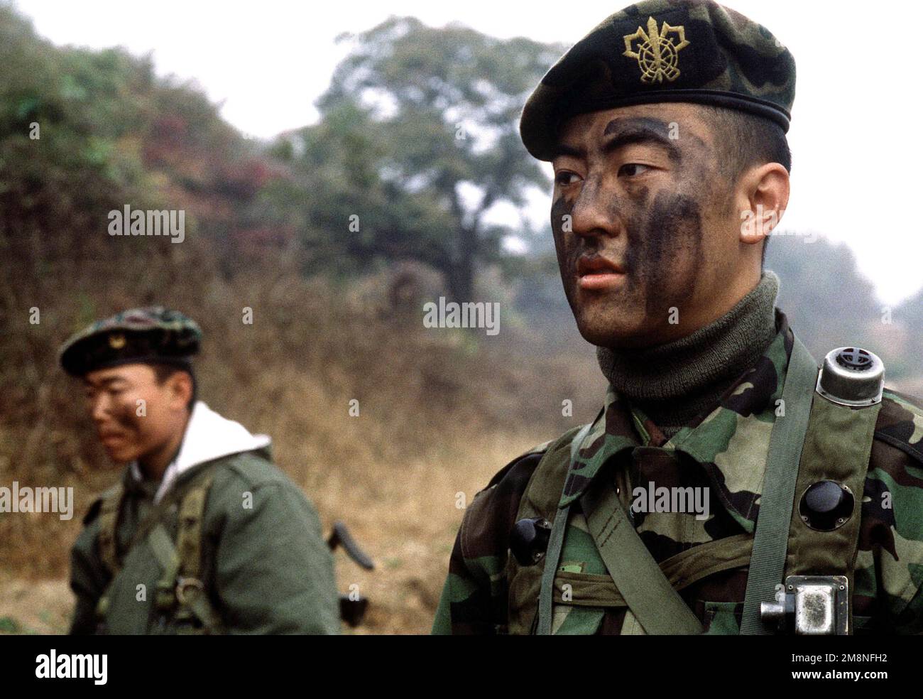 Armored combat earthmover hi-res stock photography and images - Alamy