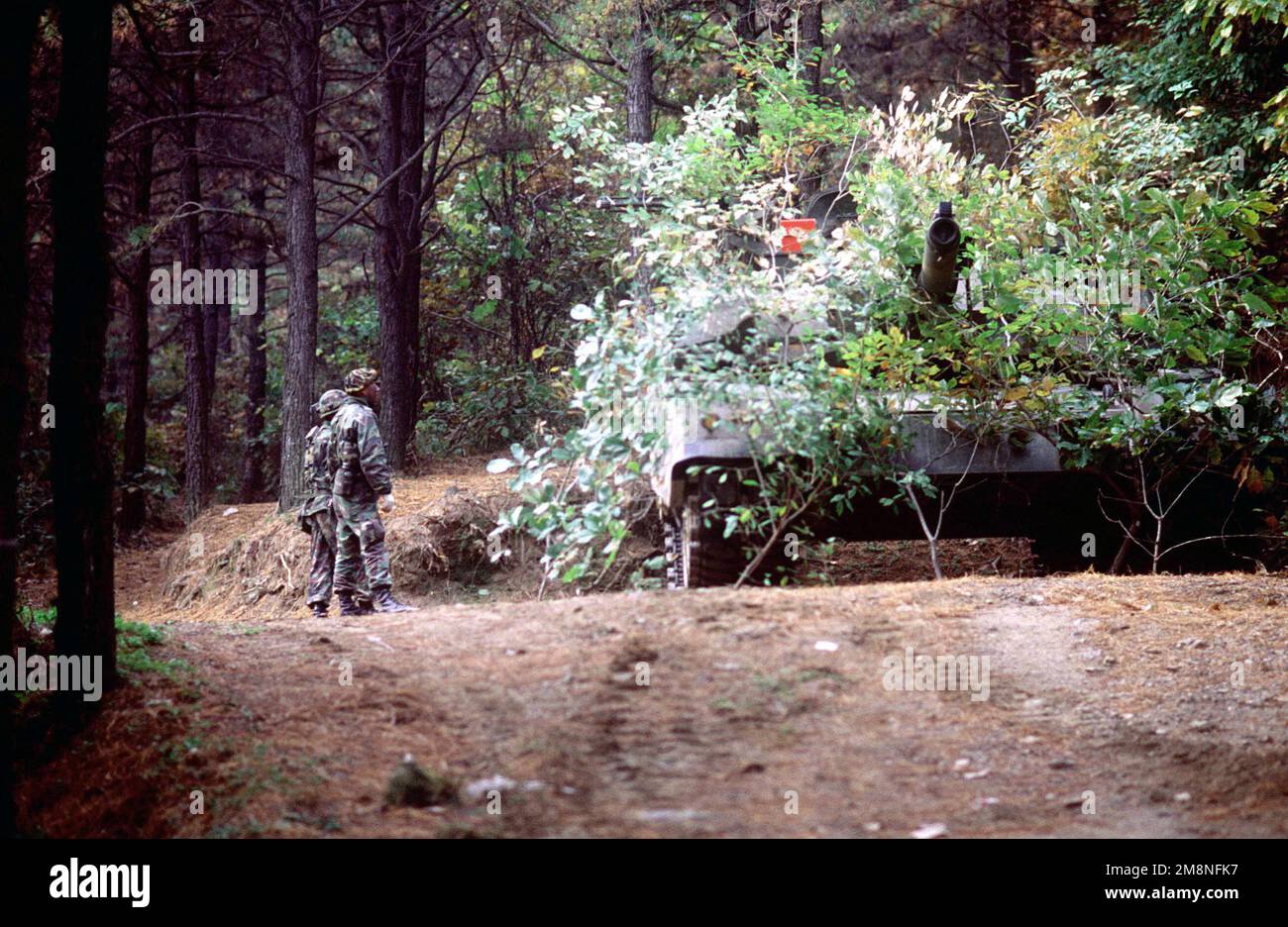 Republic of Korea Army (ROKA) soldiers stand back to inspect the ...