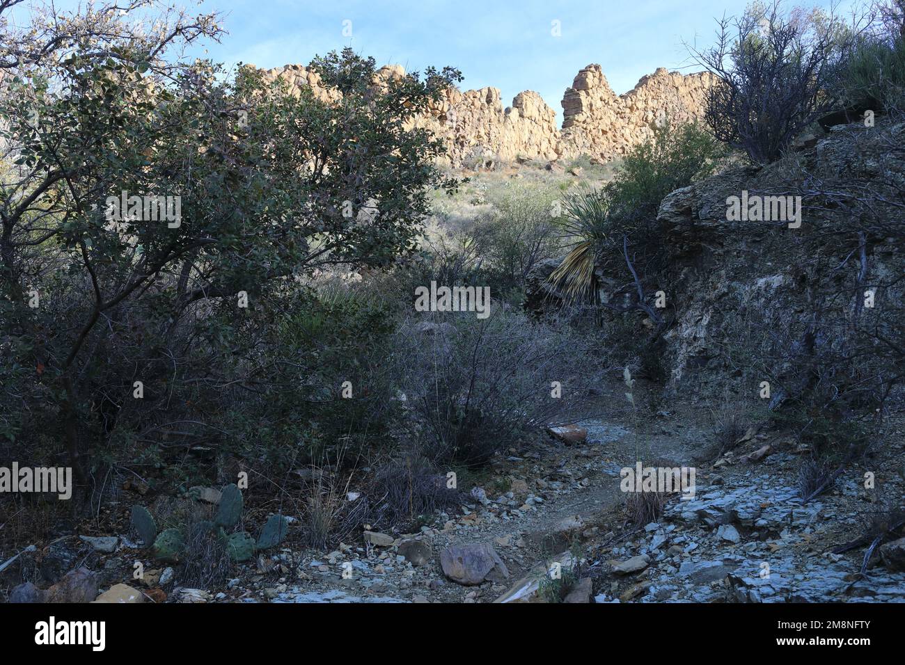 Hiking the river bed Stock Photo - Alamy