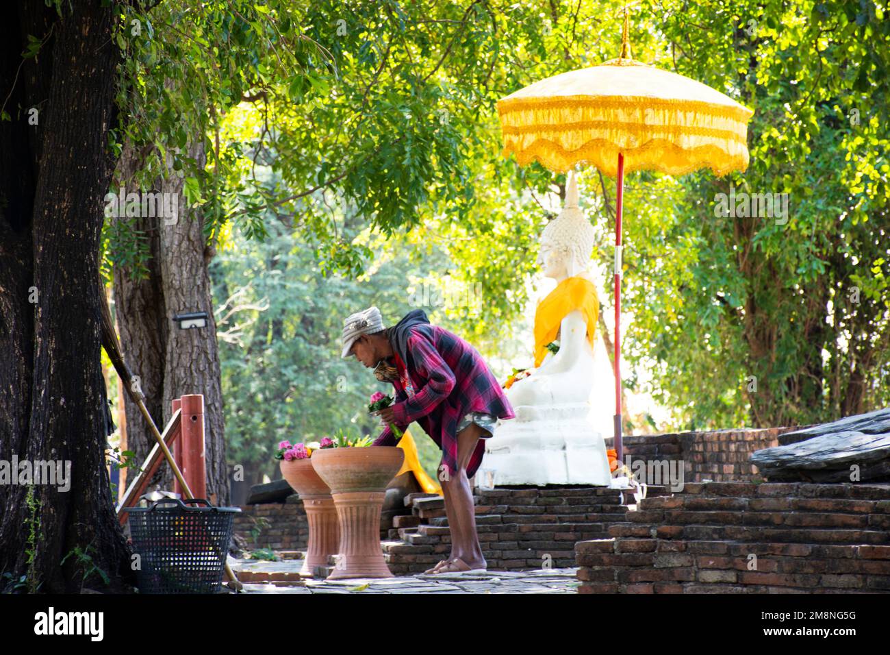 Ancient antique buddha statue and ruins old chedi stupa for thai people ...