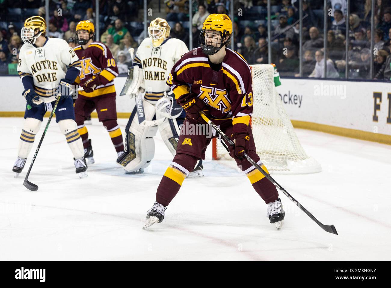 January 14, 2023: Minnesota forward Garrett Pinoniemi (13) looks for ...