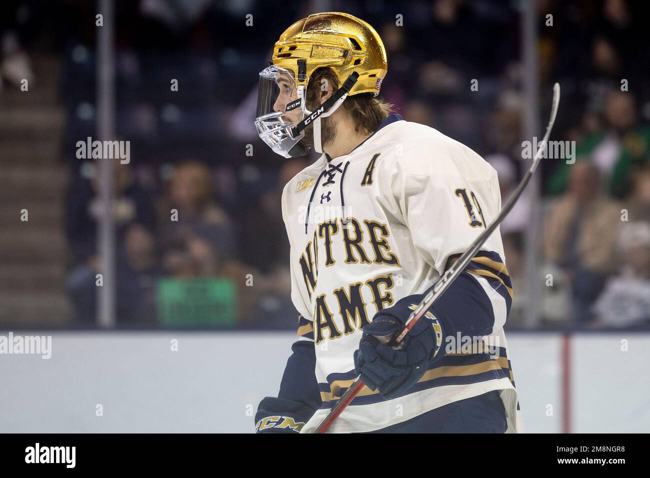 January 14, 2023: Notre Dame forward Landon Slaggert (19) during NCAA ...