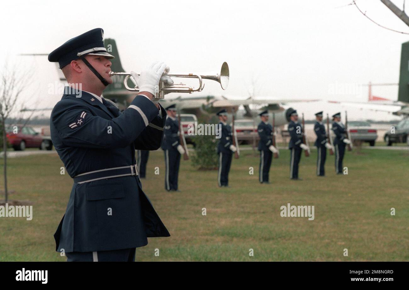 US Air Force AIRMAN First Class Brian Fox member of the 436th AW/Honor ...