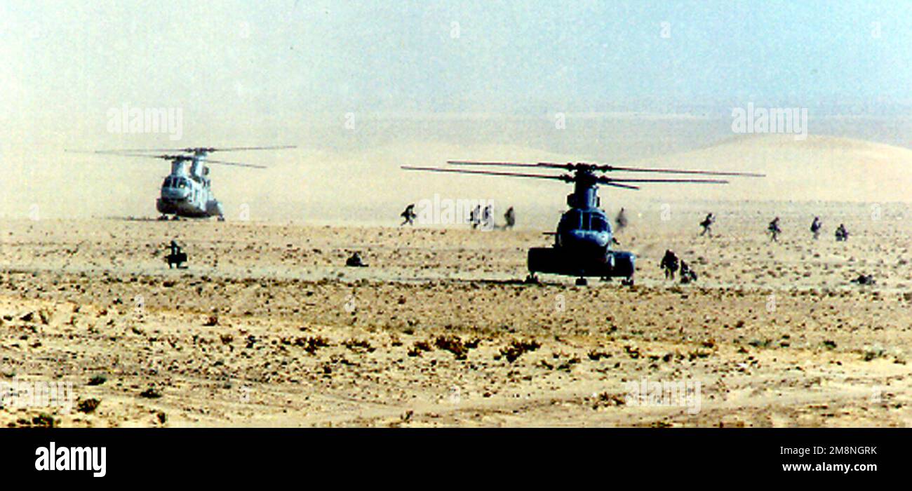 Marines from the 31st Marine Expeditionary Unit's (MEU) helicopter raid ...
