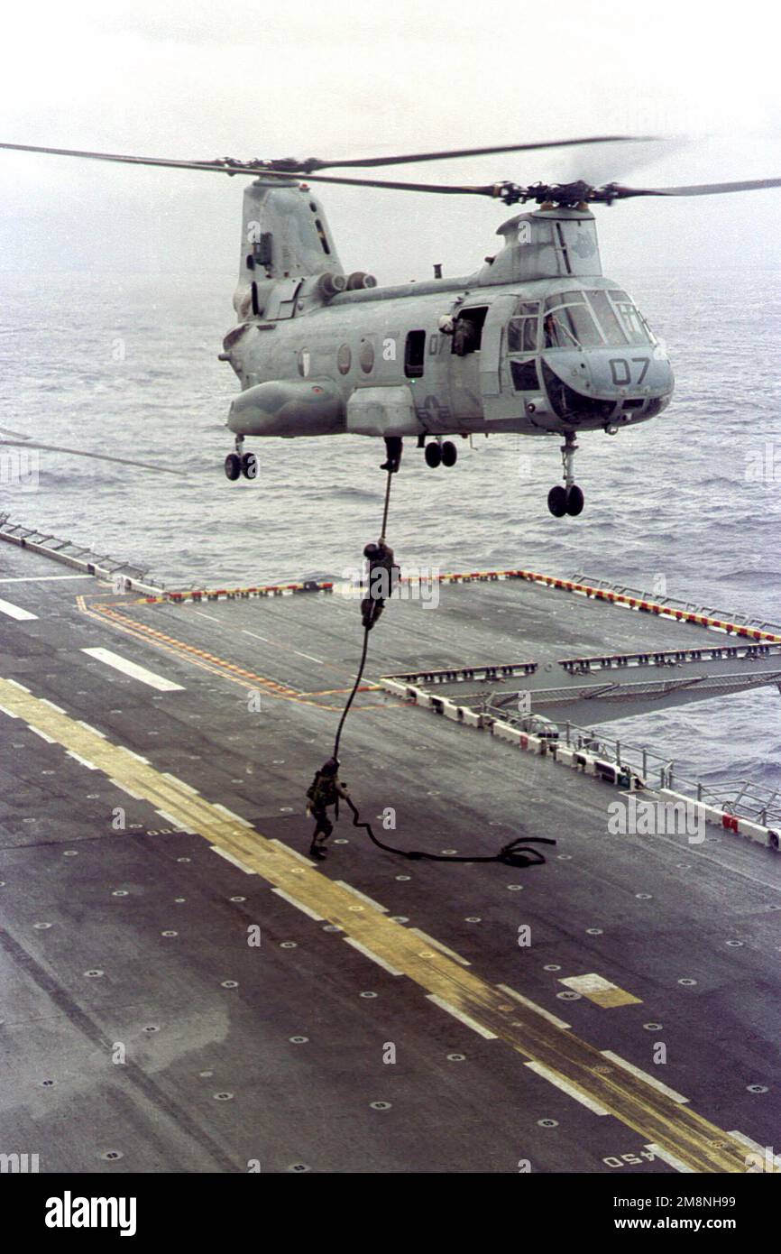 Marines from the Force Reconnaissance Platoon, 13th Marine ...