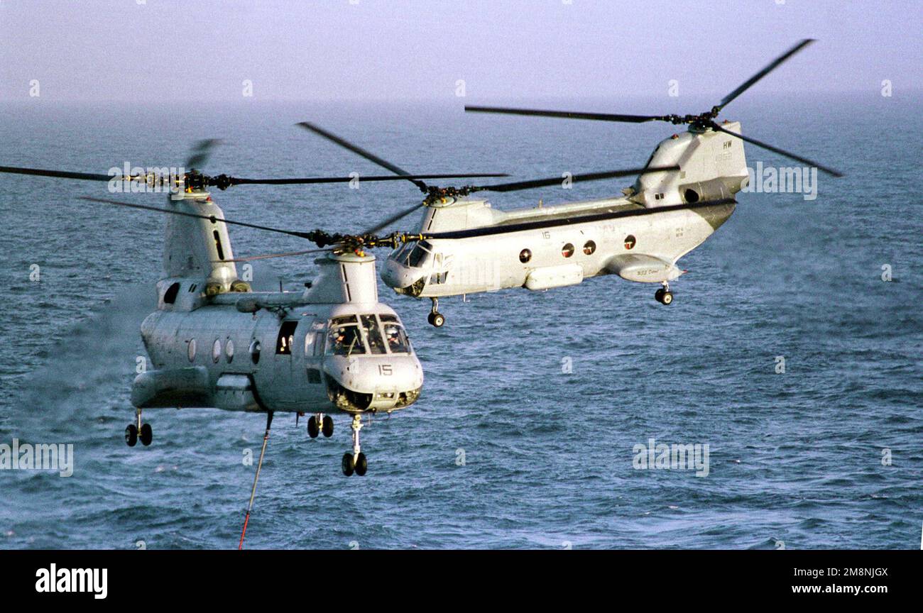 Two CH-46 Sea Knight helicopters, attached to the fast combat support ...