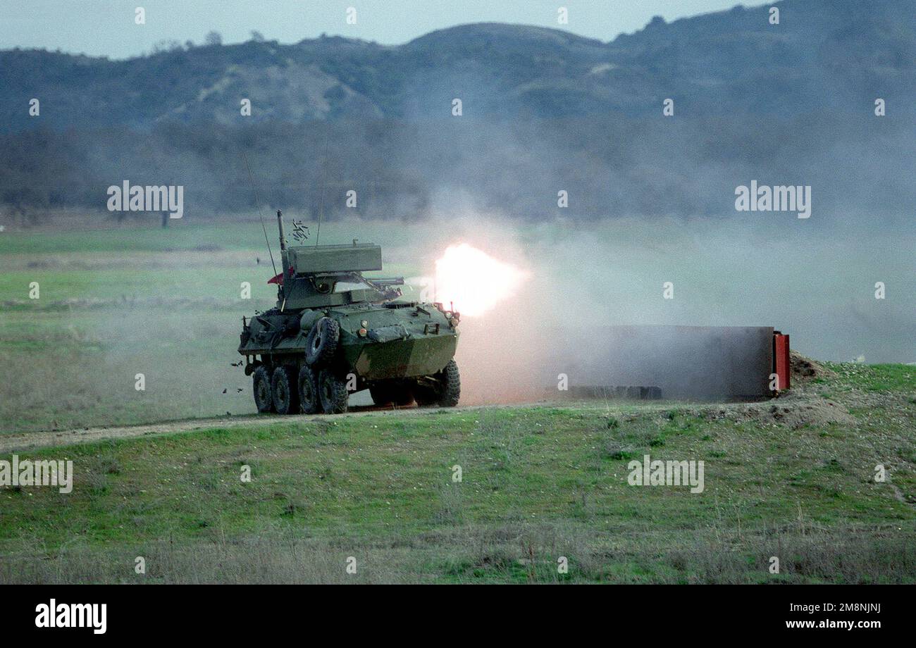 A Light Armored Vehicle-Air Defense (LAV-AD) from 4th Light Armored ...