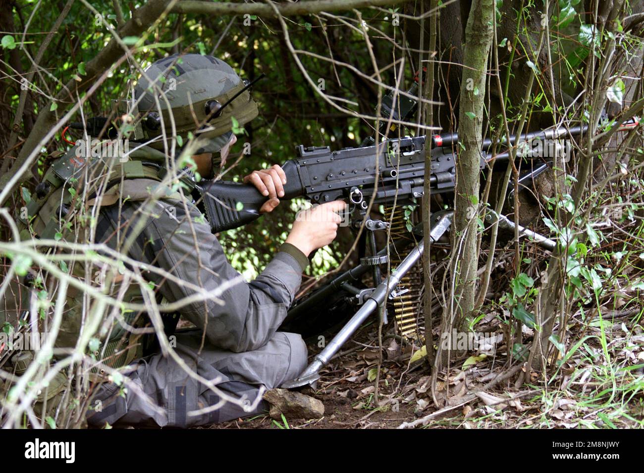A right side profile of a Marine with 1ST Battalion, 5th Marines, sits ...