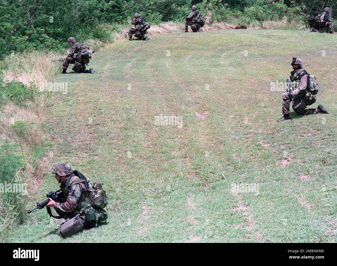 US Army (USA) Soldiers assigned to A/Company, 1ST Battalion, 17th ...