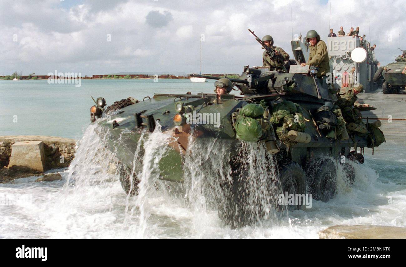US Marine Corps (USMC) Marines from 3rd Light Armored Reconnaissance ...