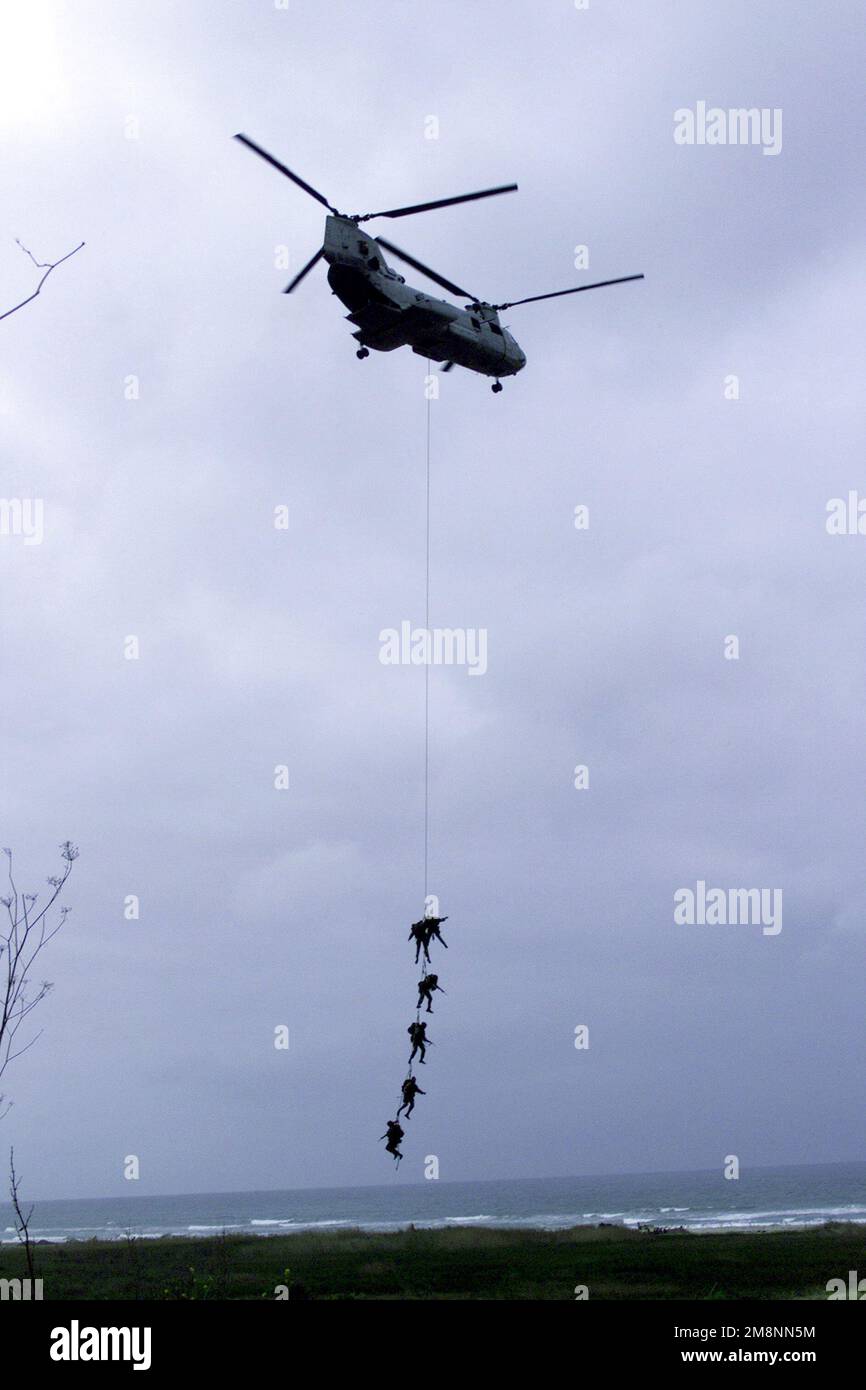 1st force recon hi-res stock photography and images - Alamy
