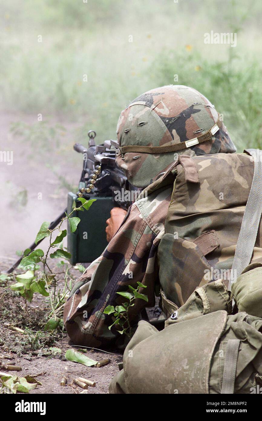 Left side, rear view of a US Army Soldier from Alpha Company, 1ST of ...