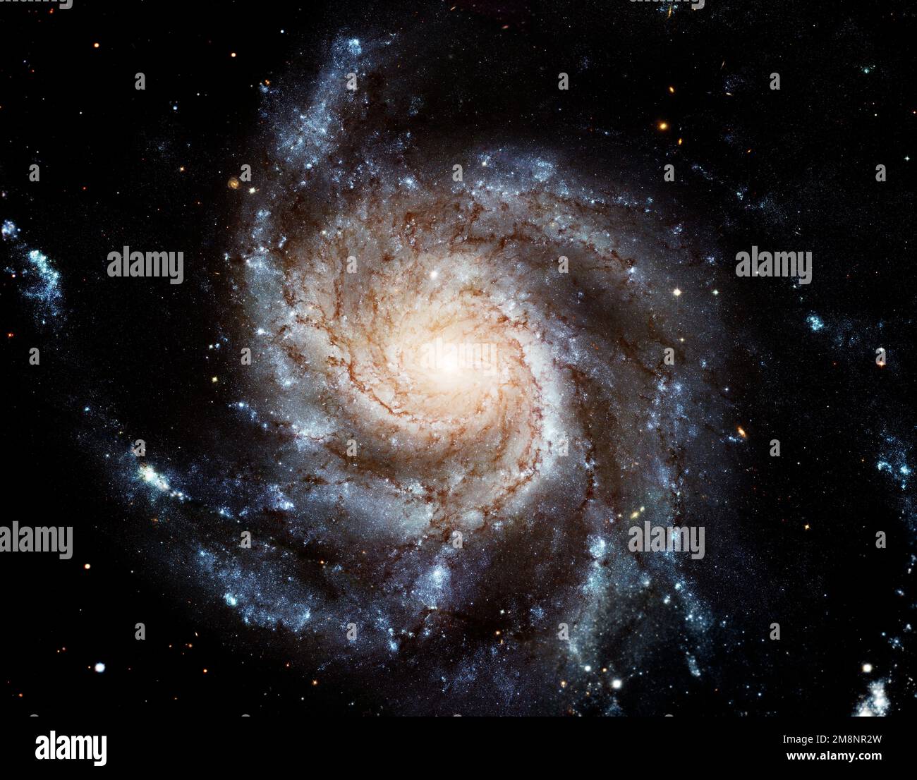 Giant Spiral Disk of Stars, M101 Stock Photo - Alamy