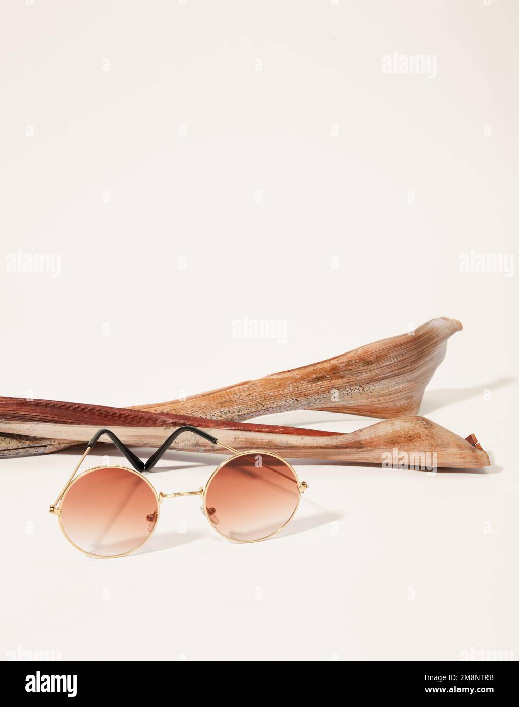 Outdoor shoe fashion hi-res stock photography and images - Alamy