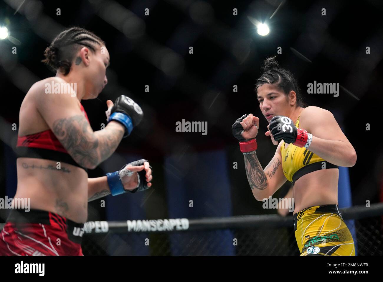 LAS VEGAS, NV - JANUARY 14: Ketlen Vieira battles Raquel Pennington in ...