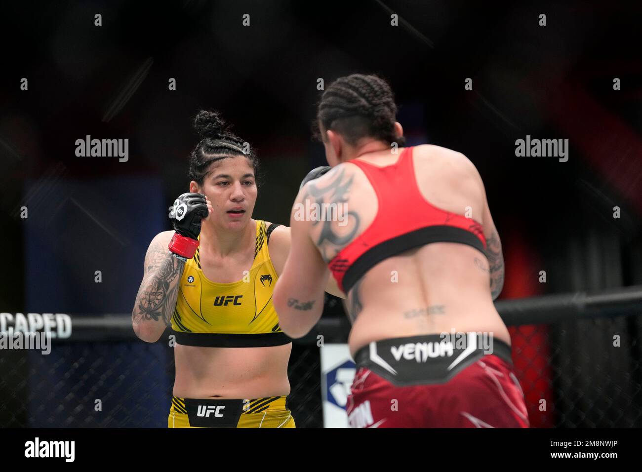 LAS VEGAS, NV - JANUARY 14: Ketlen Vieira battles Raquel Pennington in ...