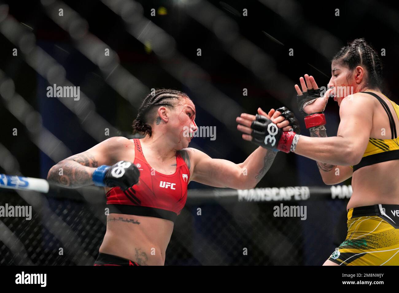 LAS VEGAS, NV - JANUARY 14: Ketlen Vieira battles Raquel Pennington in ...