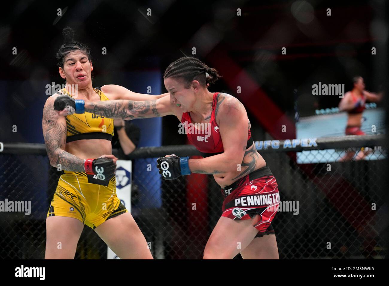 LAS VEGAS, NV - JANUARY 14: Ketlen Vieira battles Raquel Pennington in ...