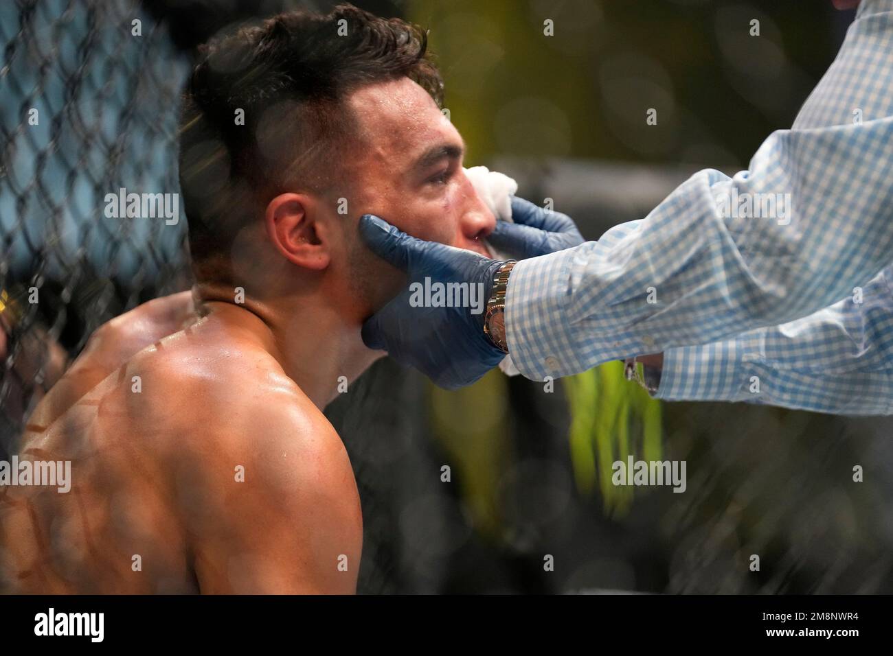 LAS VEGAS, NV - JANUARY 14: Punahele Soriano battles Roman Kopylov in ...