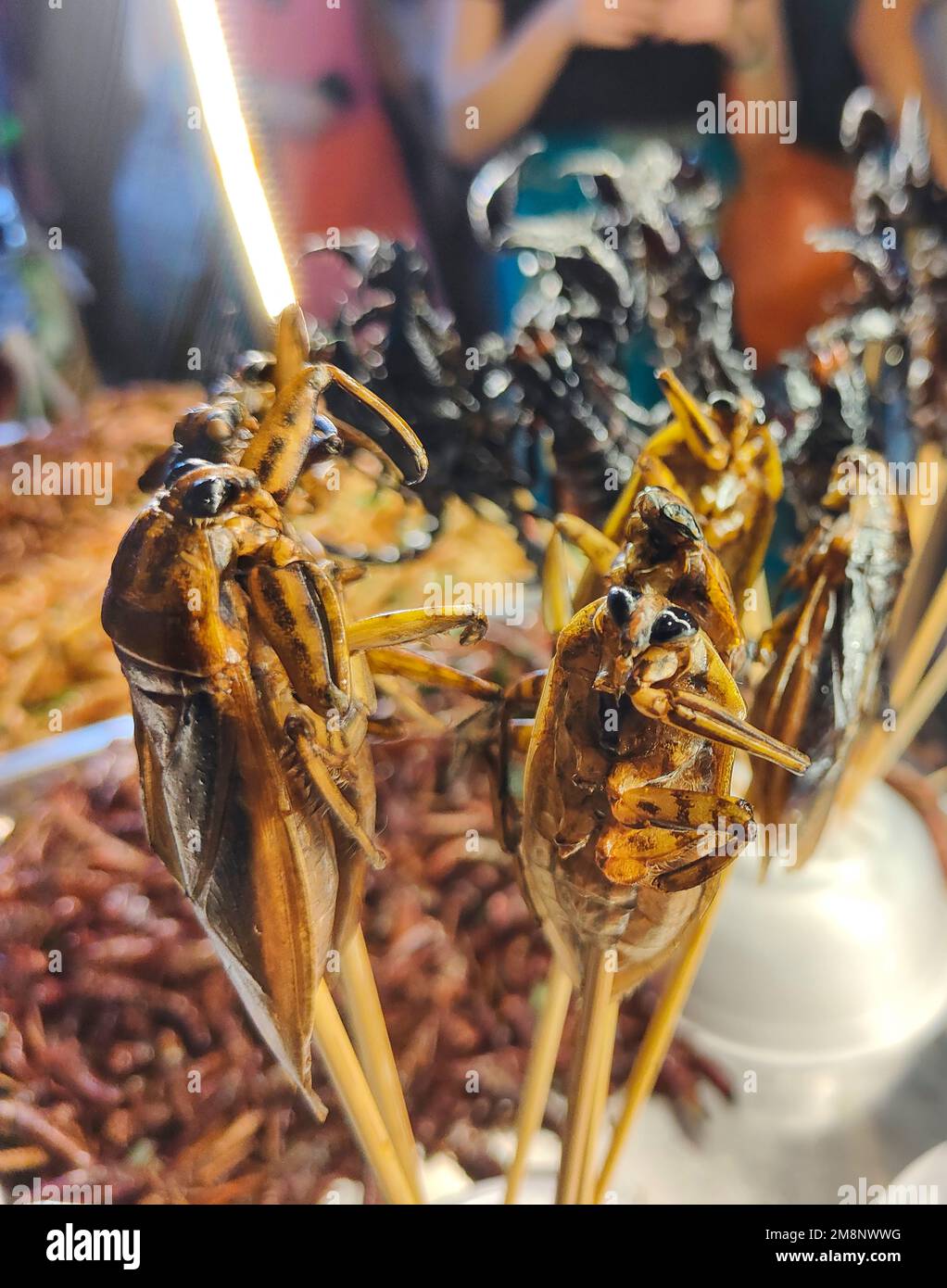 Popular crunchy dried morsels,skewered onto bamboo sticks.A variety of ...