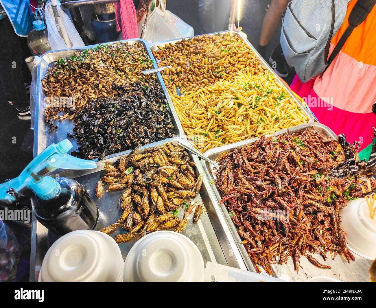 Popular street food,crunchy dried morsels,.A variety of invertebrates ...