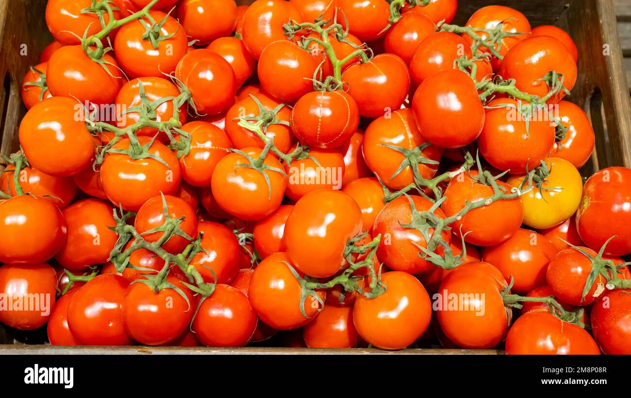 red tomatoes background. tomatoes background top view Stock Photo - Alamy