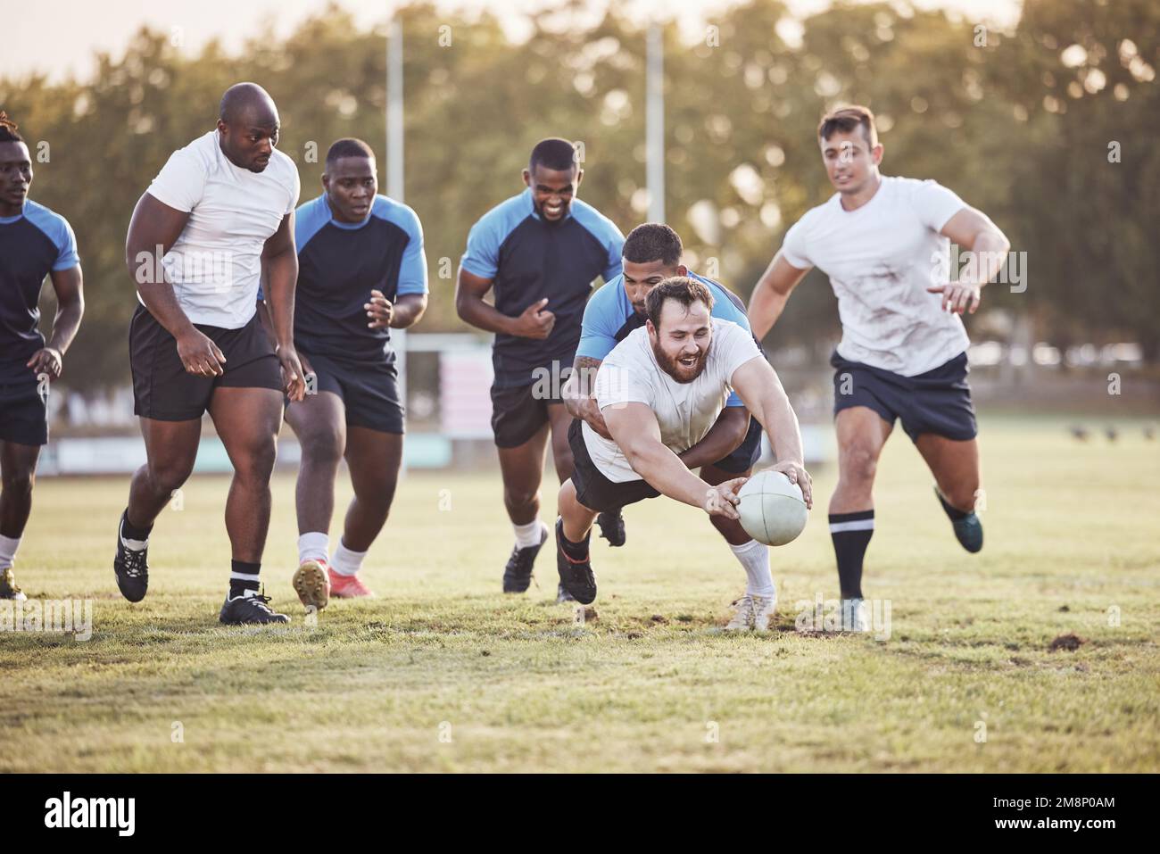 Caucasian rugby player diving to score a try during a rugby match ...