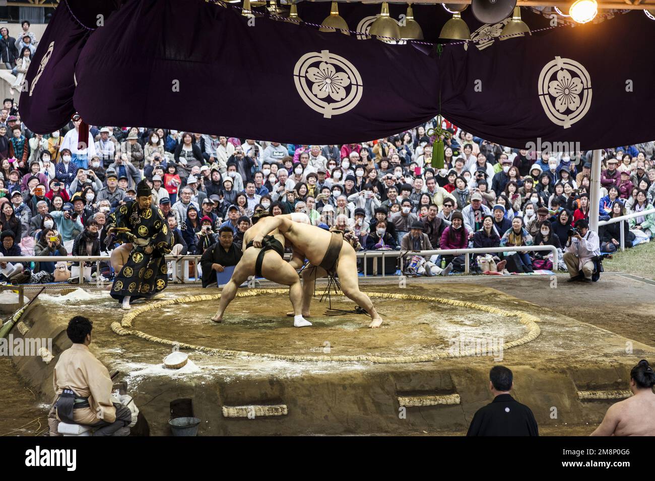 Japan. Tokyo. Chiyoda-ku. Sumo tournament organized during the season ...