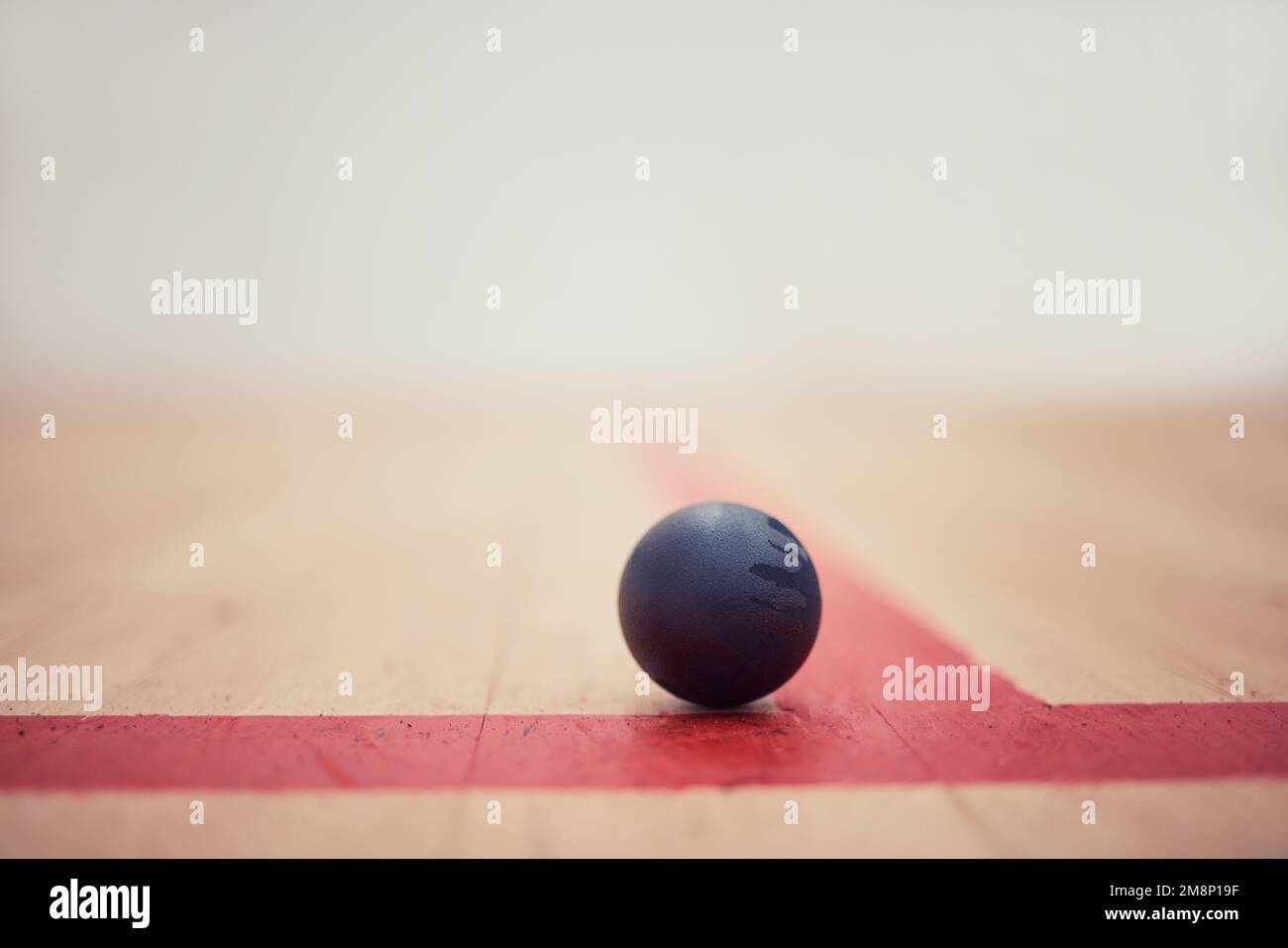 Closeup of one squash ball on wooden floor in empty court in sports ...