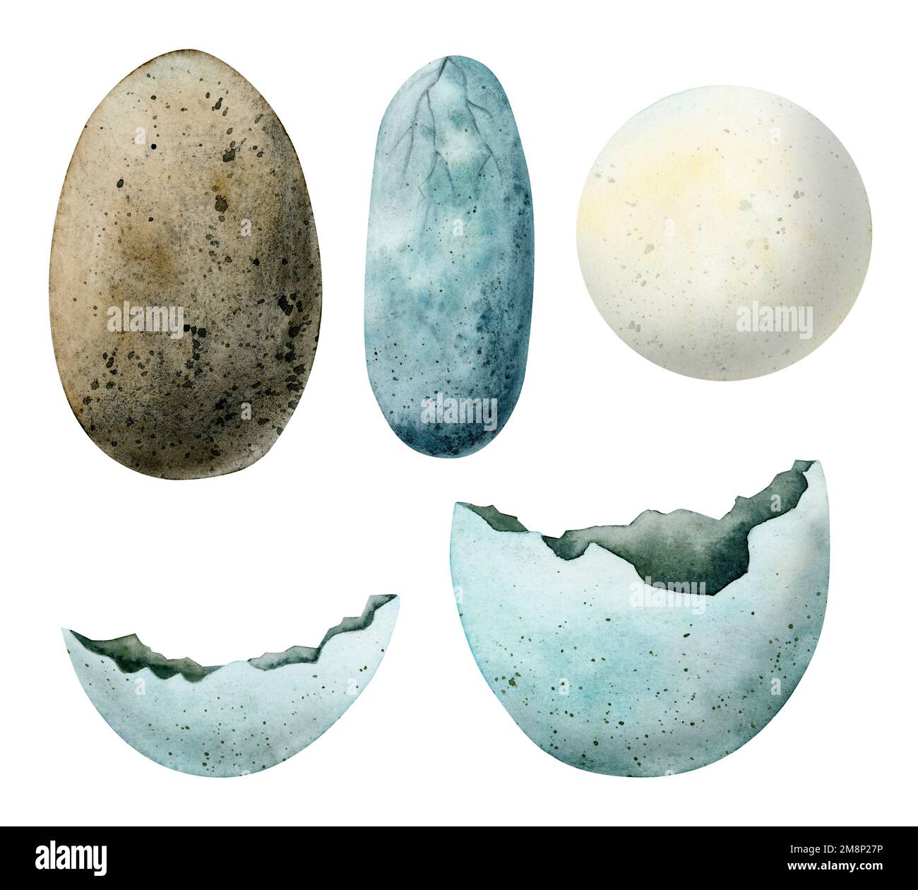 Set of different dinosaur eggs. Watercolor hand drawn illustration of tyrannosaurus and ...