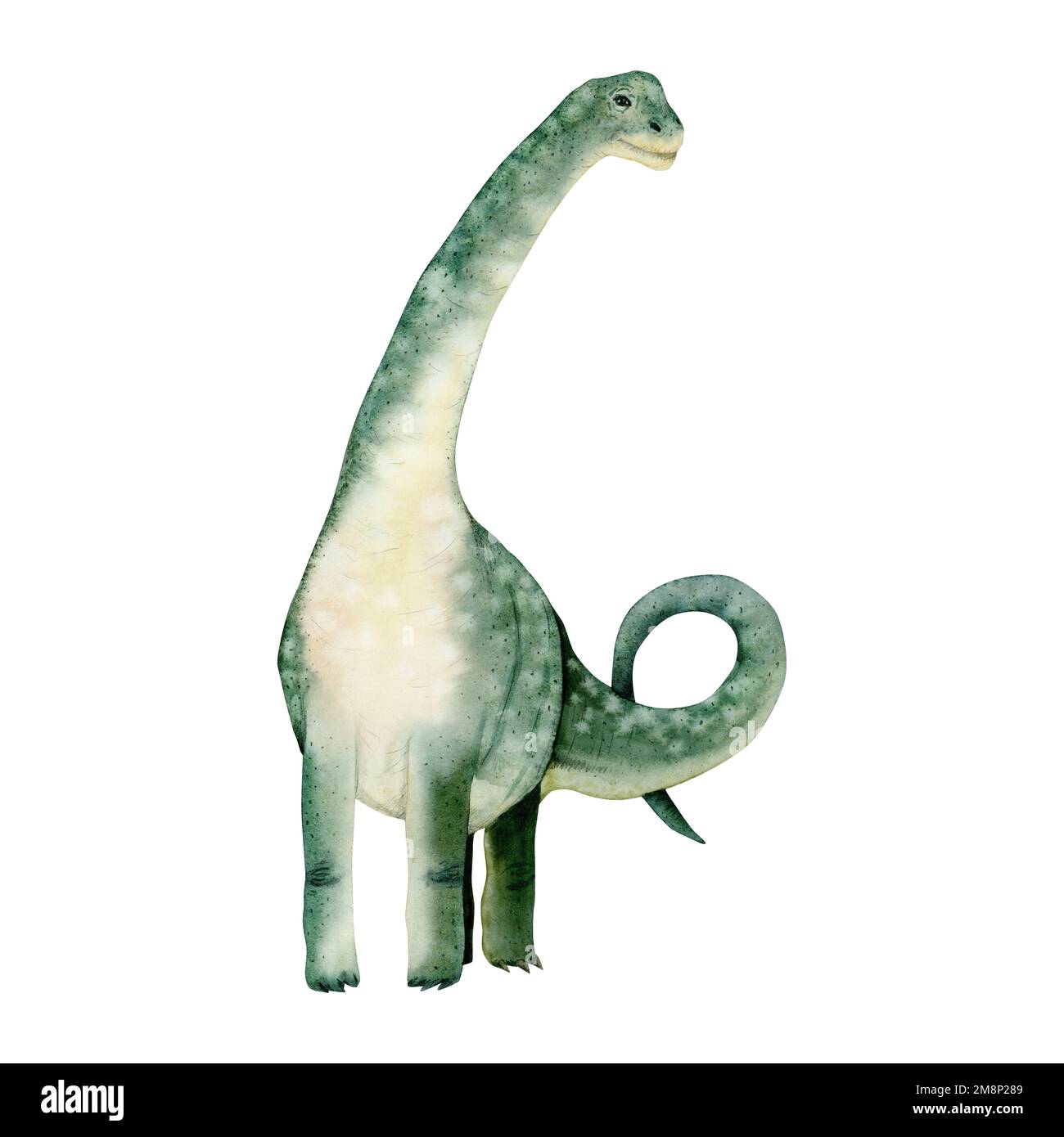 Watercolor brachiosaurus green dinosaur. Hand drawn illustration of ...