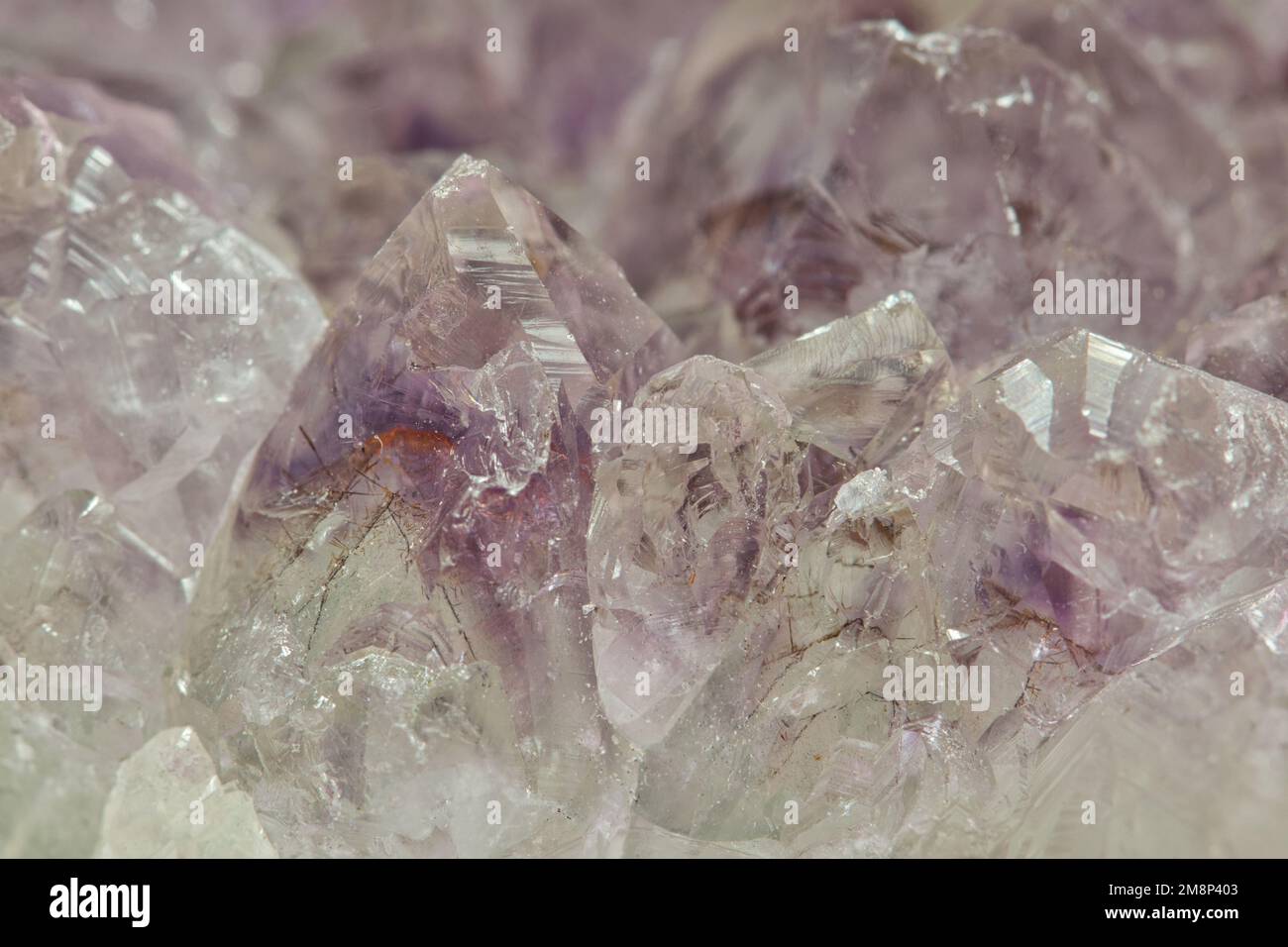 Light pale colored Amethyst quartz crystals in raw mineral form. Fine ...
