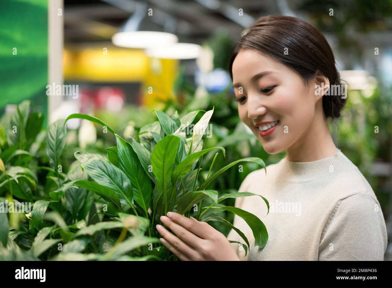 Man woman look plants hi-res stock photography and images - Alamy