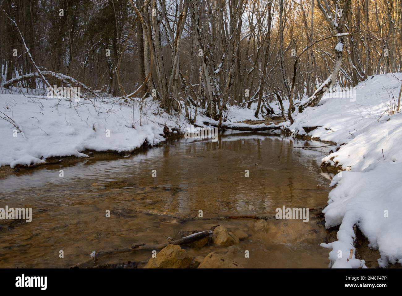 River forest winter. Winter atmospheric background. The concept of snow ...