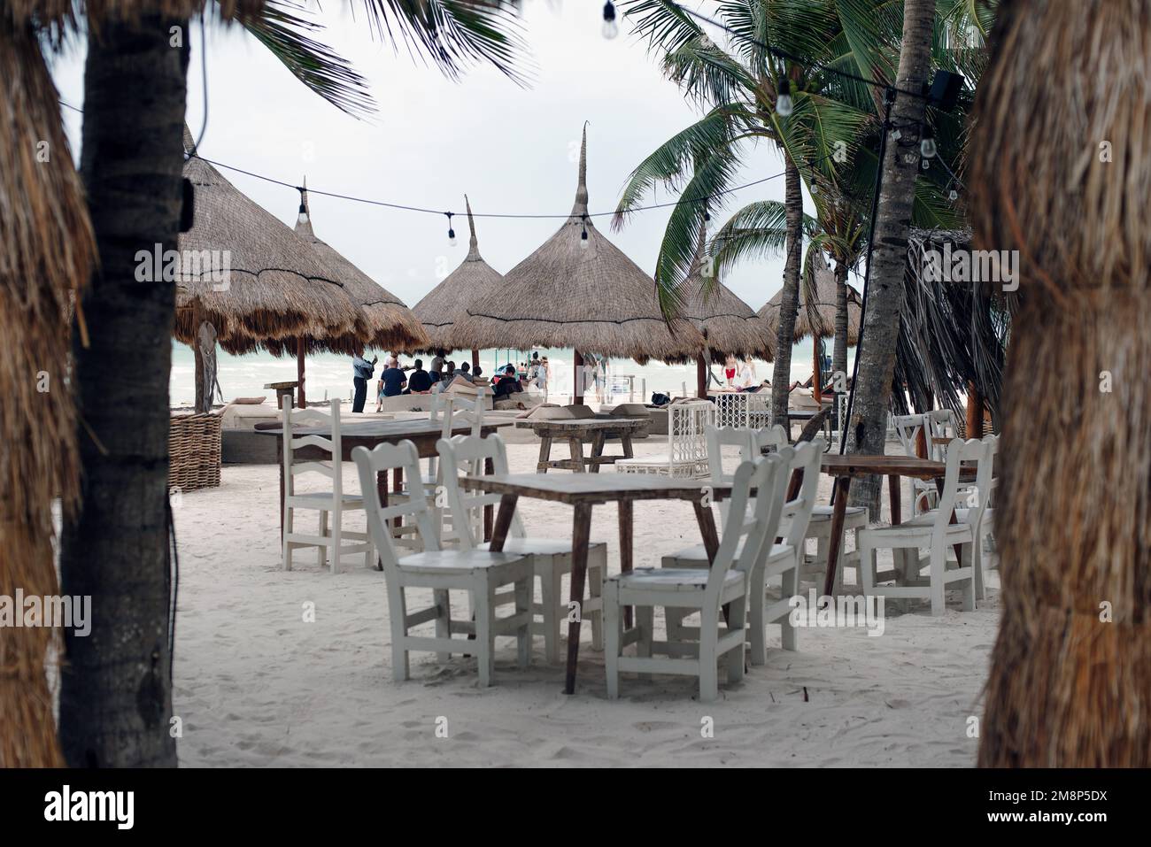 Tropical beach setting on Isla Holbox, Quintana Roo, Mexico Stock Photo ...