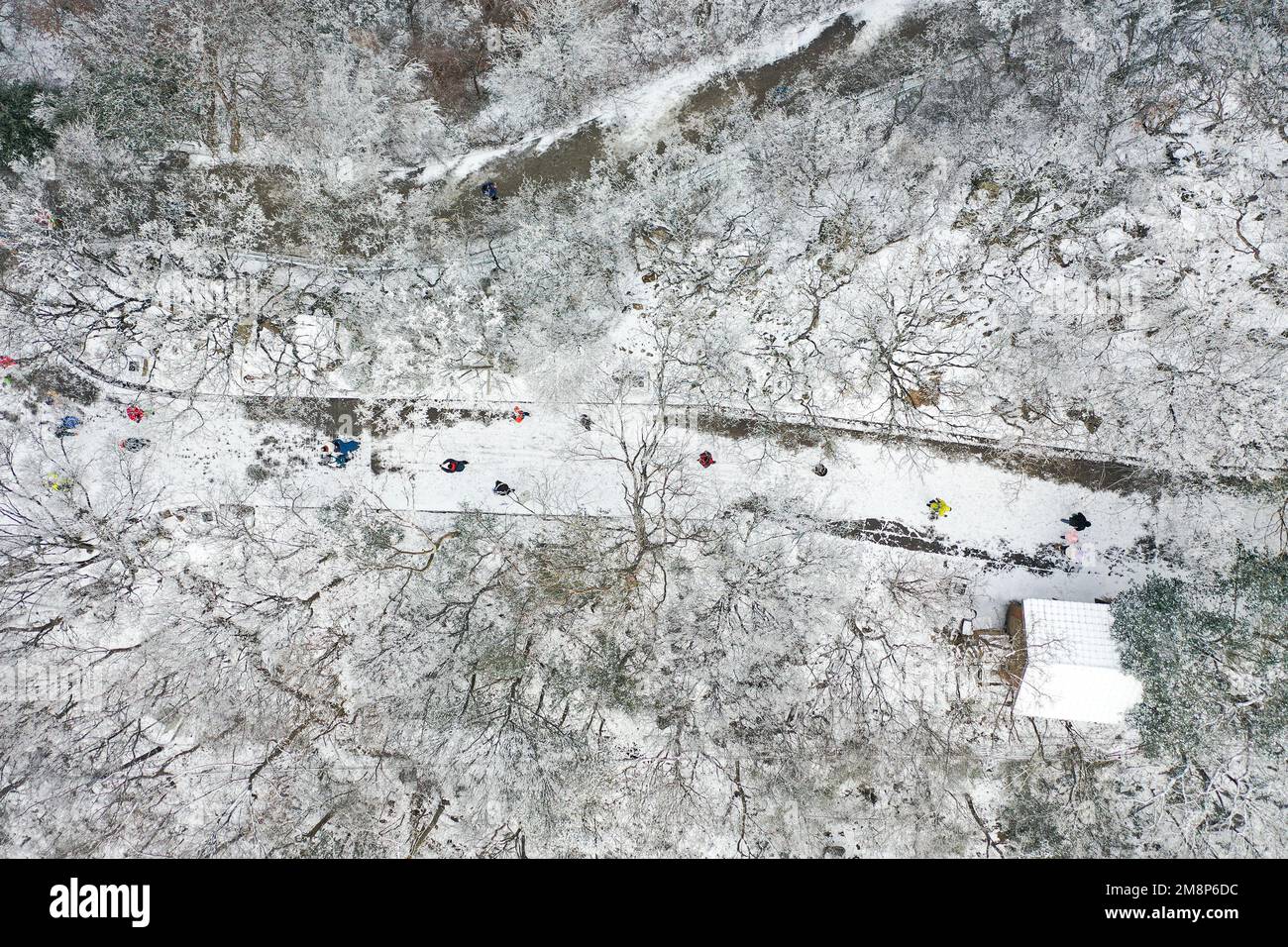 China. 15th Jan, 2023. NANJING, CHINA - JANUARY 15, 2023 - Tourists ...