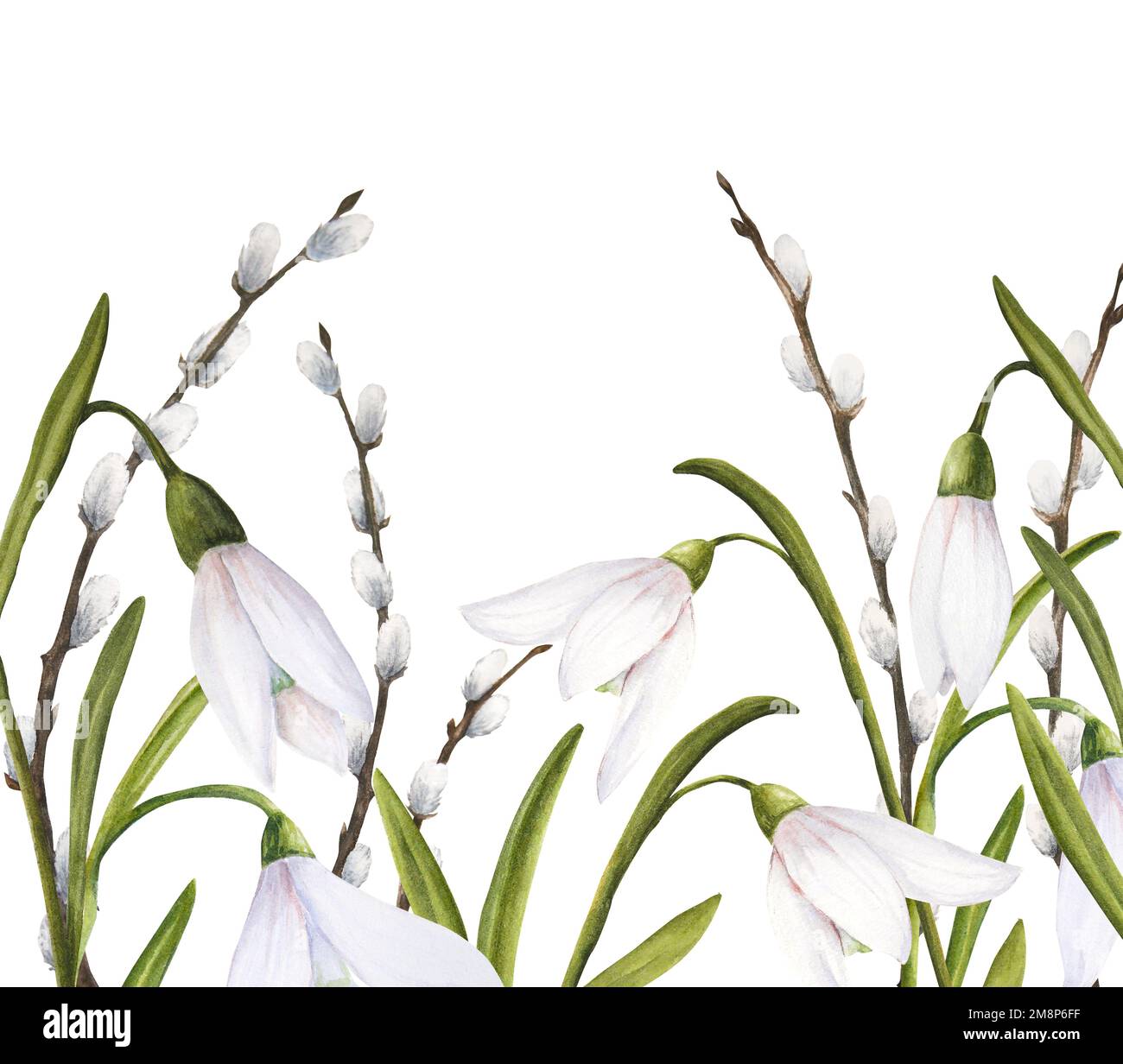 Watercolor easter illustration of tender bouquet of snowdrops, branches ...