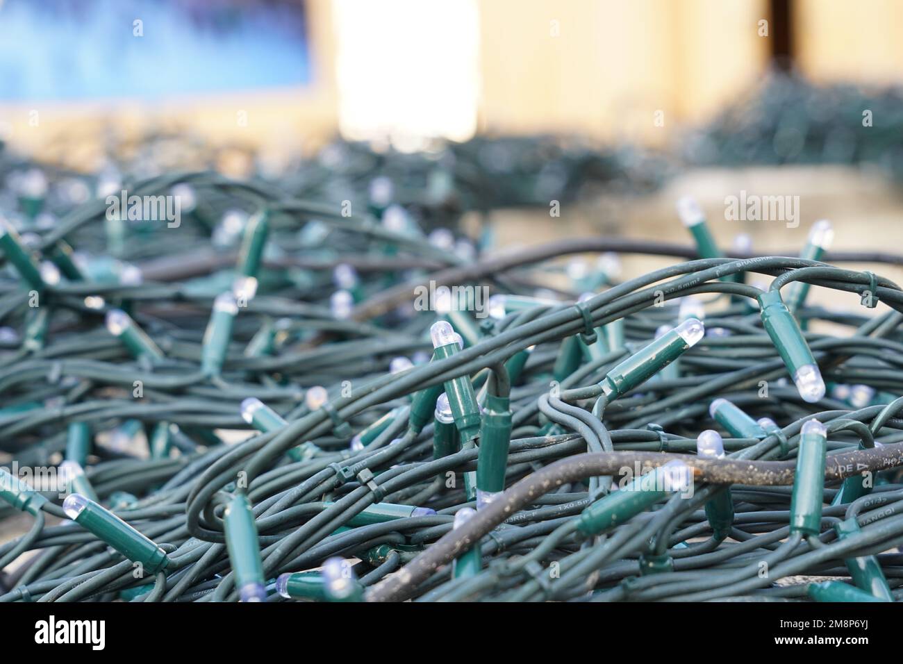 Light chains consisting of small bulbs connected with green cables ...