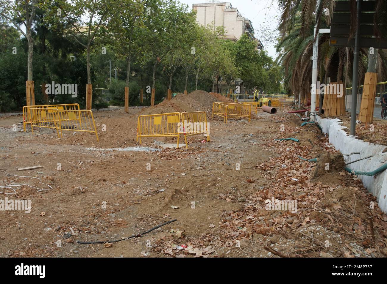 Ground lined with trees prepared for a civil engineering building site ...