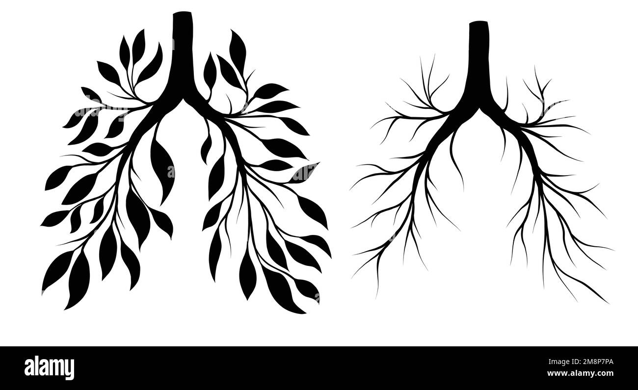 Vector set of black silhouette of human lungs from leaves and branches ...