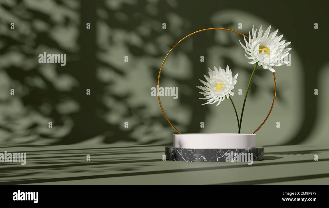 A podium display with white daisy flowers on a solid green background ...
