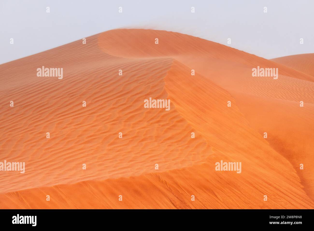 Close up of the ridge of desert dunes, with sand drifting in the wind ...