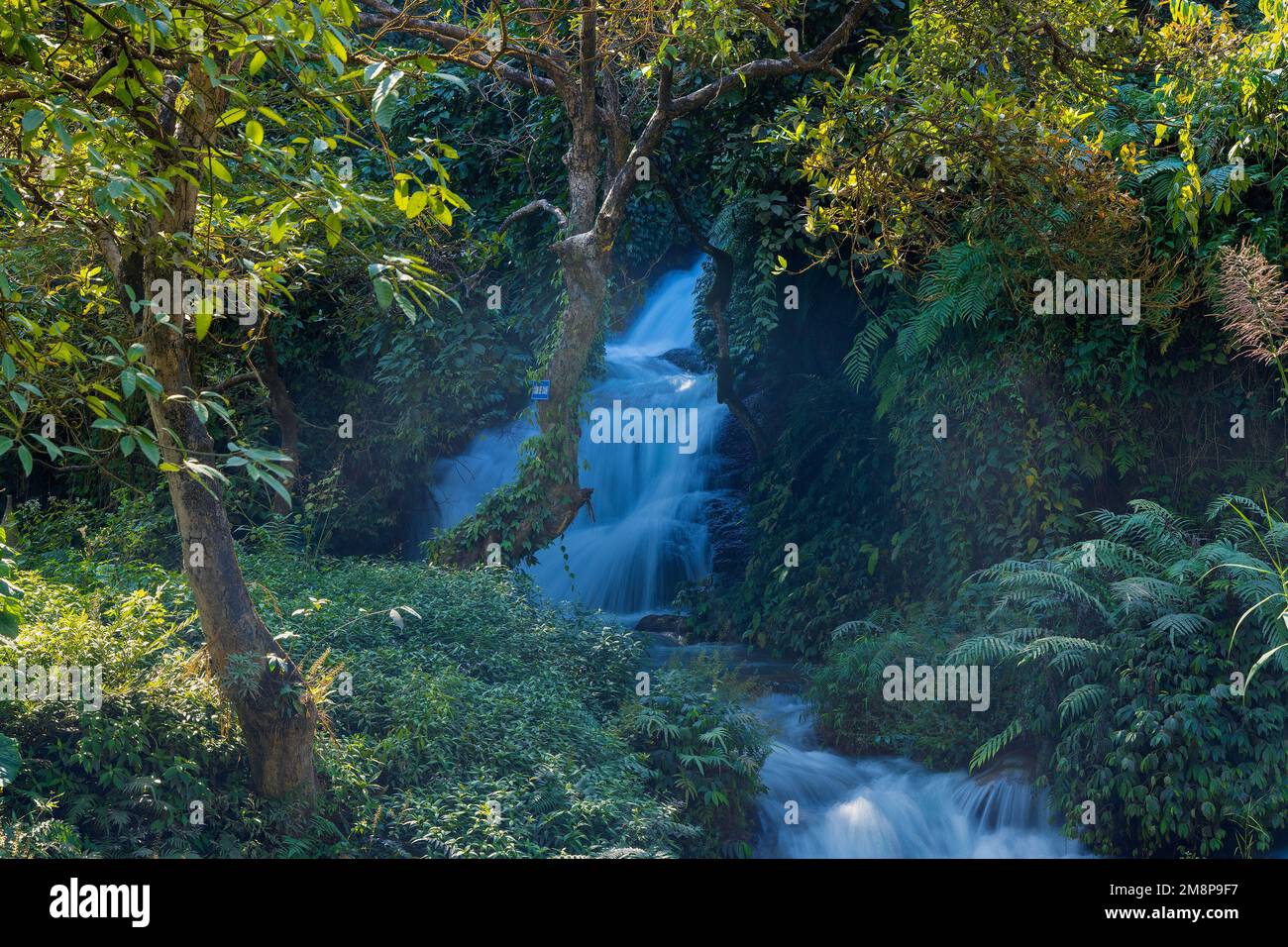 Ban Gioc waterfall on the border of Vietnam and China Stock Photo - Alamy