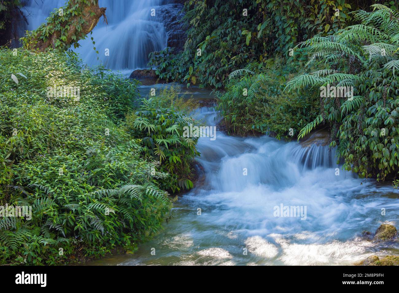 Ban Gioc waterfall on the border of Vietnam and China Stock Photo - Alamy