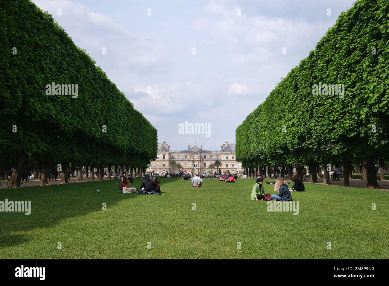 Chestnut tree in paris france hi-res stock photography and images - Alamy