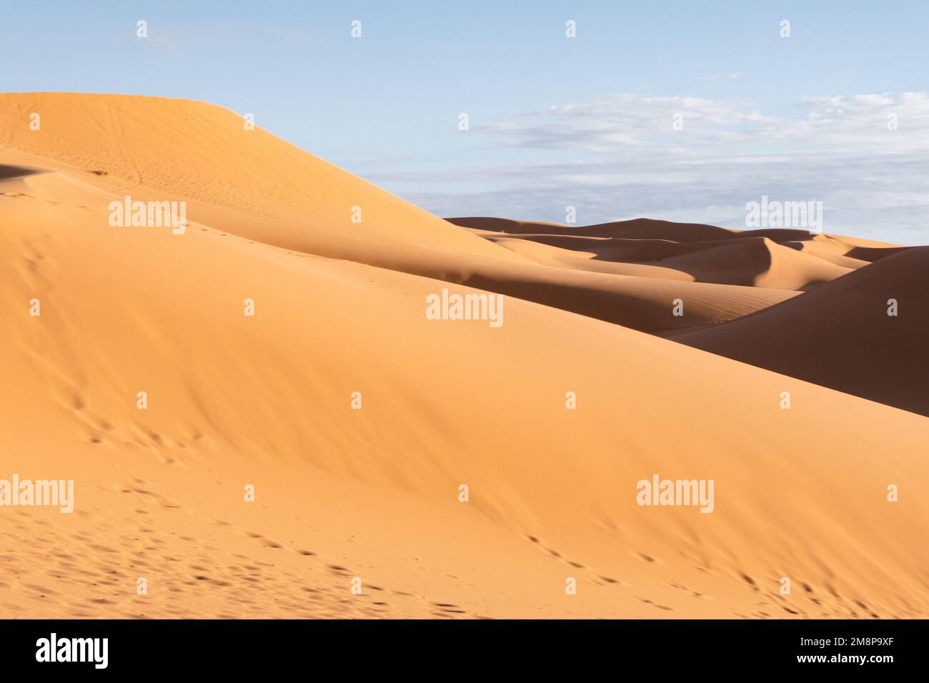 Beautiful sand dunes in the Sahara desert Stock Photo - Alamy